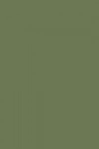 Farrow & Ball Calke Green, - Interiors By Color
