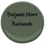 Benjamin Moore Backwoods Paint Color - Interiors By Color