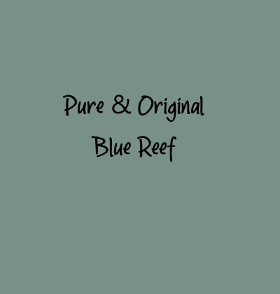 Pure-Original’s-Blue-Reef - Interiors By Color