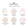 Benjamin Moore Most Loved Pinks - Interiors By Color