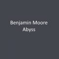Benjamin Moore Abyss - Interiors By Color
