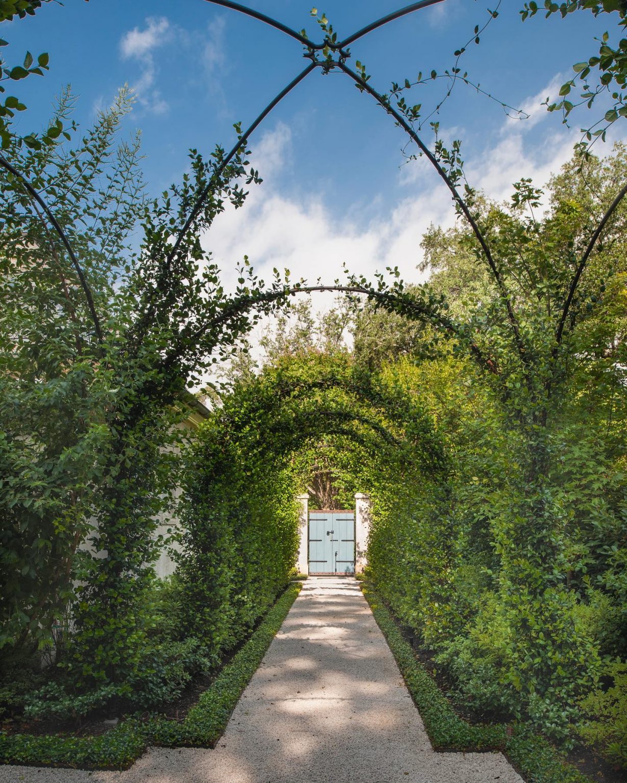 Secret Garden with a Blue Wall - Interiors By Color