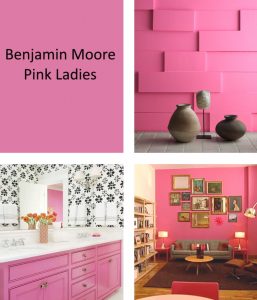 Benjamin Moore Pink Ladies Paint Color - Interiors By Color