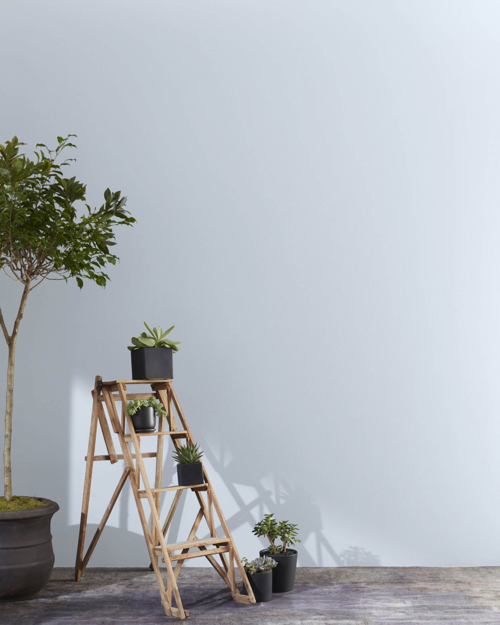 The Benjamin Moore Contemporary Color Palette - Interiors By Color