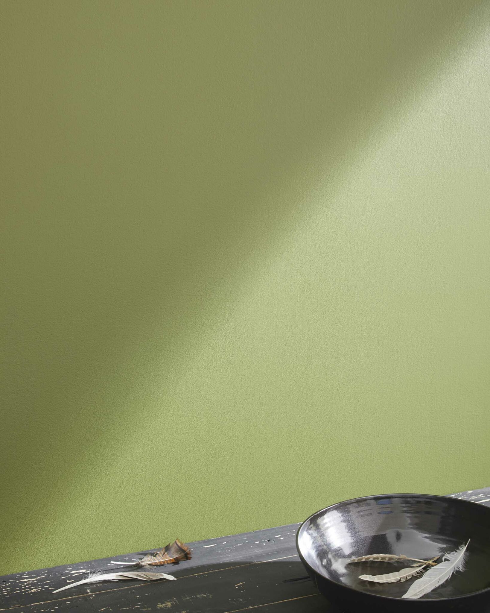 Benjamin Moore Guacamole - Interiors By Color